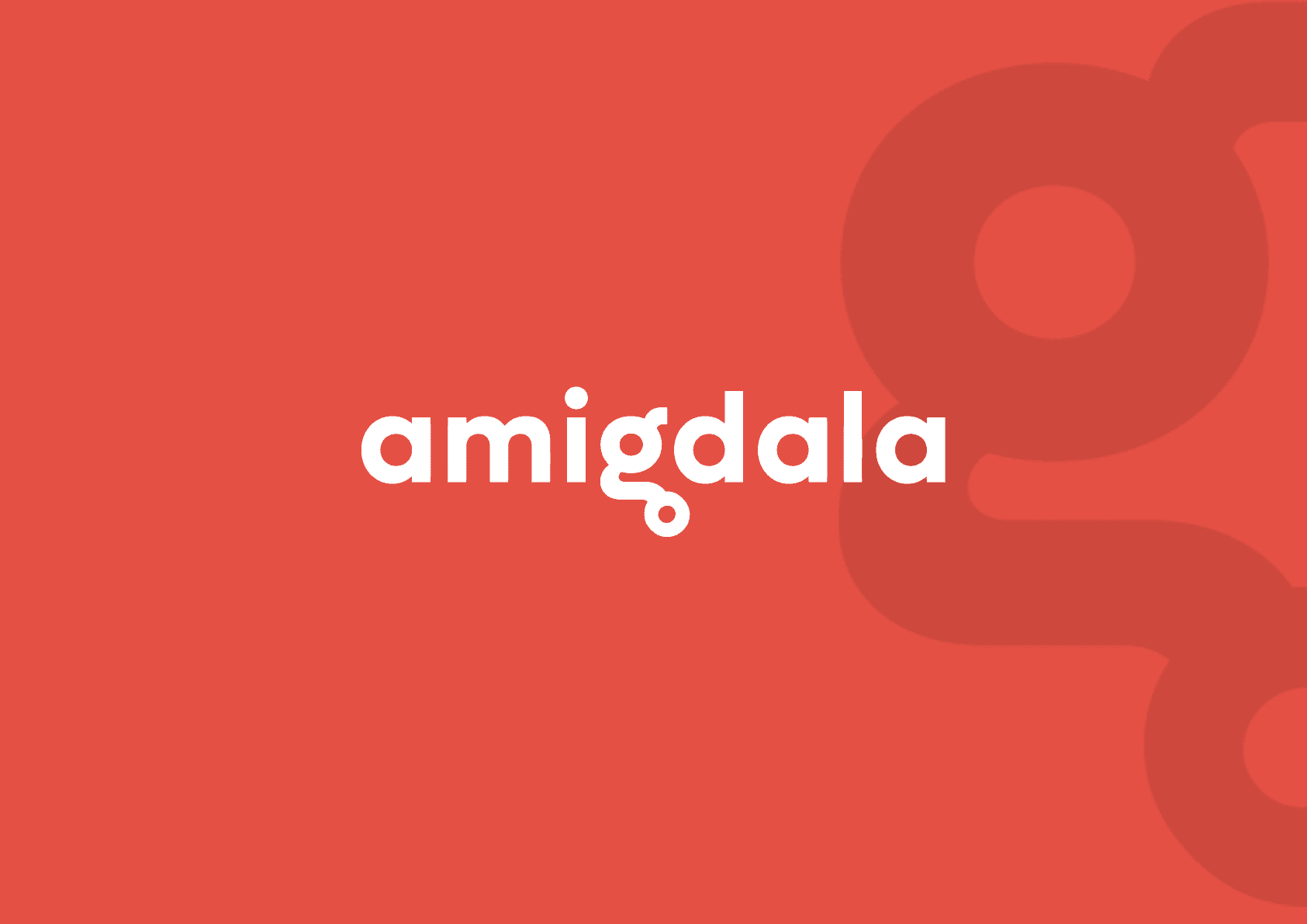 Amigdala Agency | About Us
